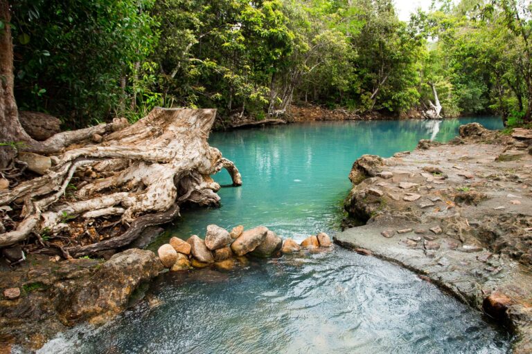 Cardwell Spa Pool: Australiens verborgener Schatz | Mira Baby Spa